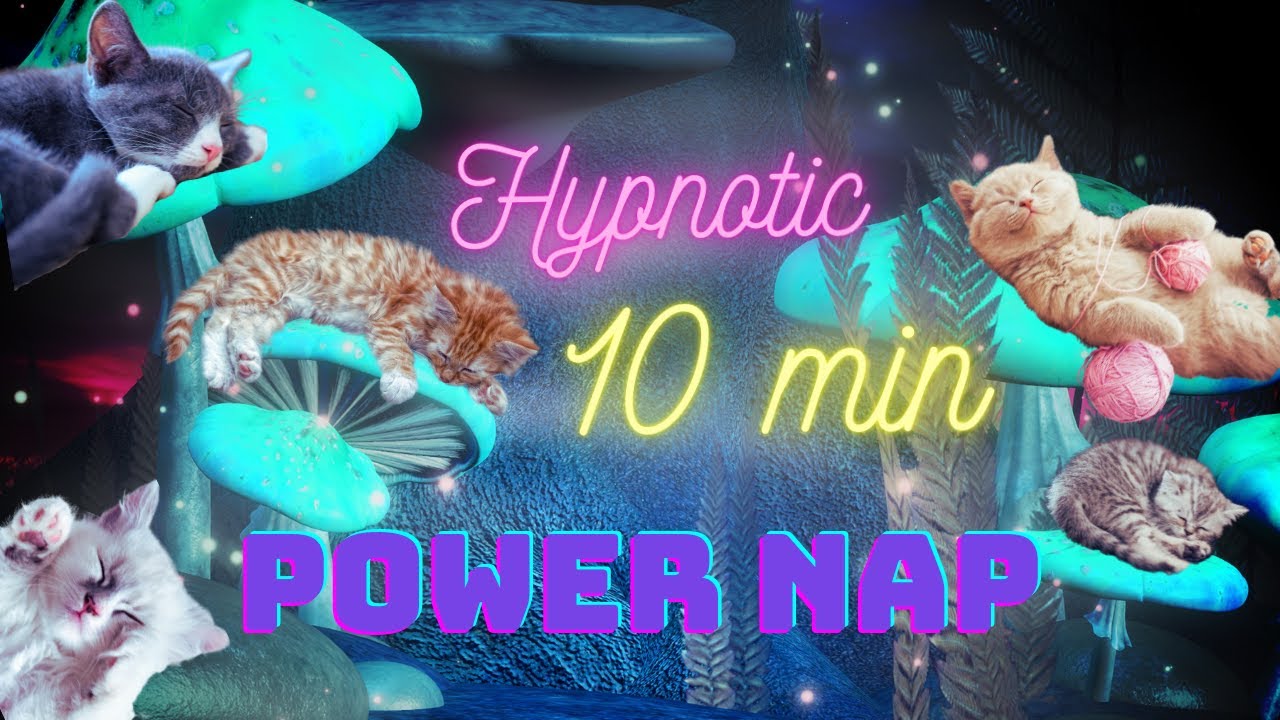 A 10 min power nap is so restful during a busy day - Live 5